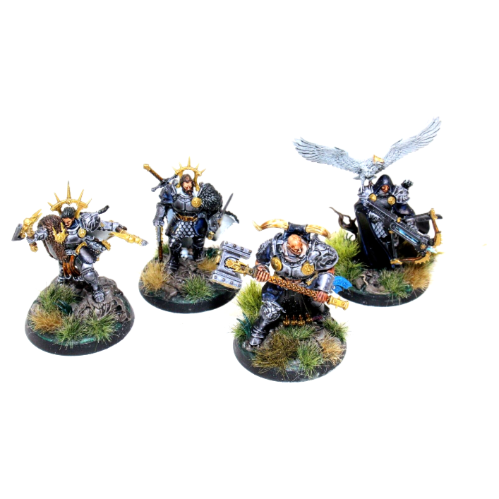 Warhammer Stormcast Eternals The Black Talons Well Painted A15