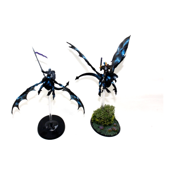 Warhammer Stormcast Eternals Stormdrake Guard Well Painted ULN1