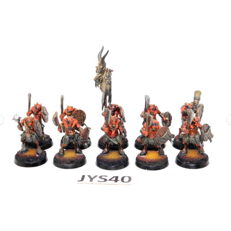 Warhammer Beastmen Ungors Well Painted JYS40
