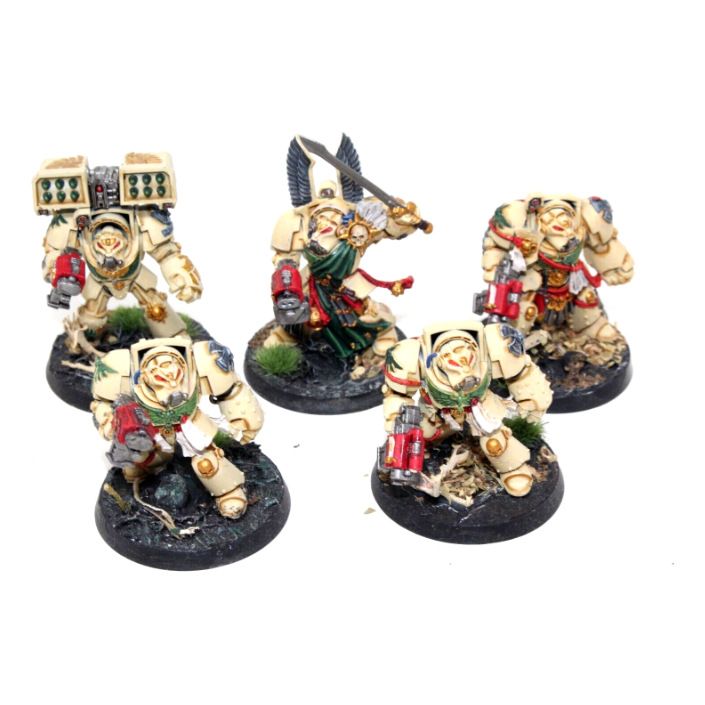 Warhammer Dark Angels Terminator Squad Well Painted A1