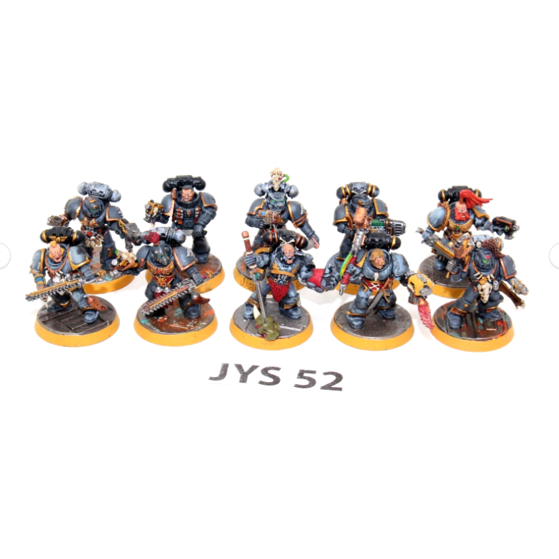 Warhammer Space Wolves Tactical Squad JYS52