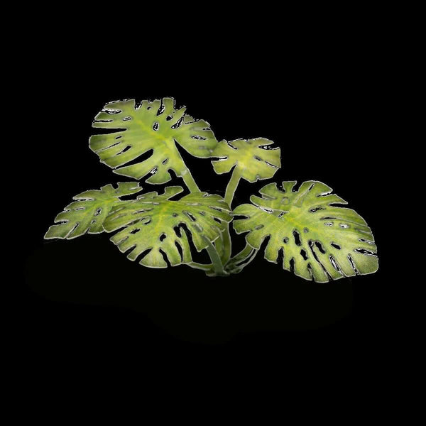 Gamers Grass Laser Plants - Monstera New